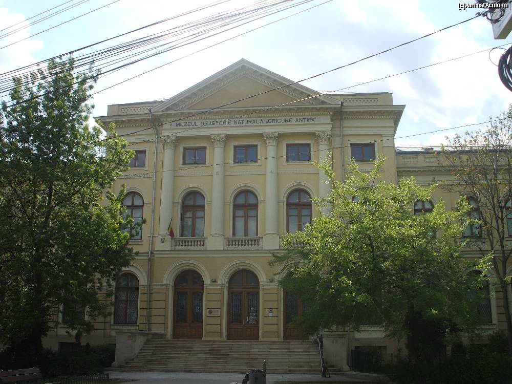 Muzeul Taranului Roman Program De Vizitare - posterinternet